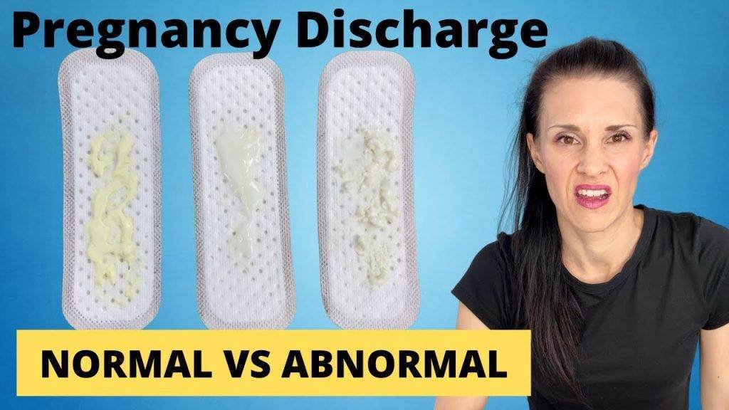 What Pregnancy Discharge Looks Like? – Pregnant Women Care What Pregnancy Discharge Looks Like? – Pregnant Women Care